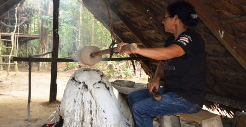 Manaus: Museu do Seringal Rubber Museum - A Detailed Look at the Tour Experience