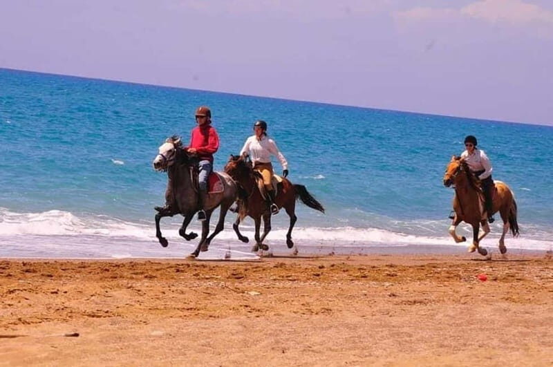Manavgat Side: Horse Riding on the Beach and in the Forest - What the Tour Offers and Why It Matters