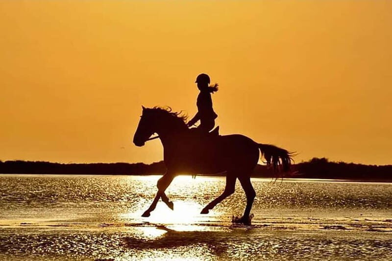 Manavgat Side: Horse Riding on the Beach and in the Forest - What Makes This Tour Special?