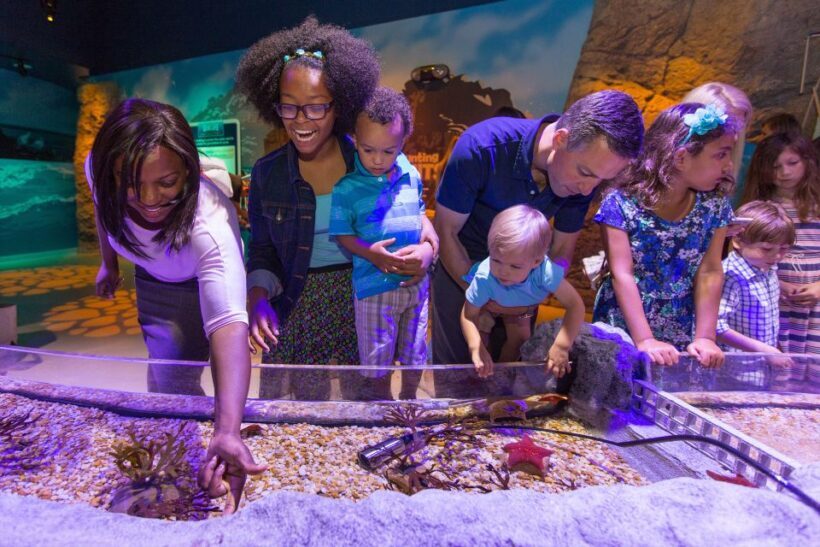 Manchester: SEA LIFE Entrance Ticket - The Sum Up: The Wrap-Up