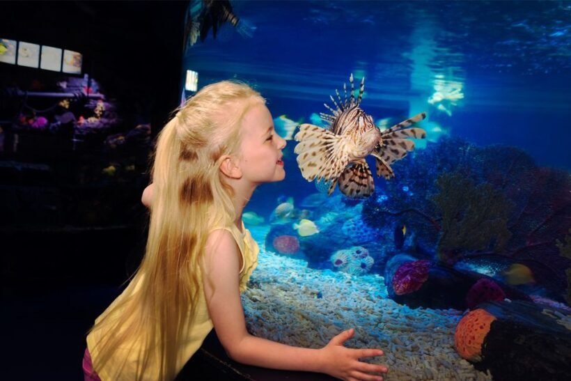 Manchester: SEA LIFE Entrance Ticket - FAQ