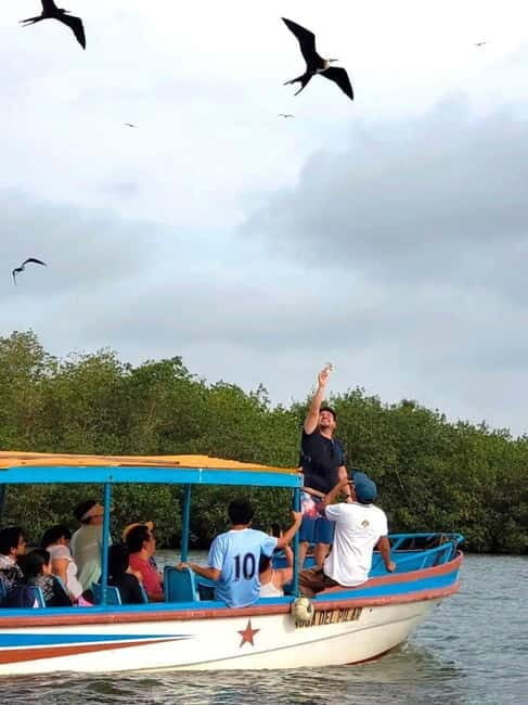 Mancora: Puerto Pizarro - Tour Mangrove Mysteries - The Experience in Detail