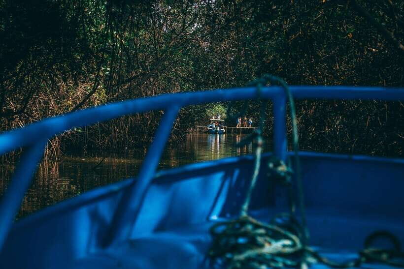 Mancora: Puerto Pizarro - Tour Mangrove Mysteries - How about the value?