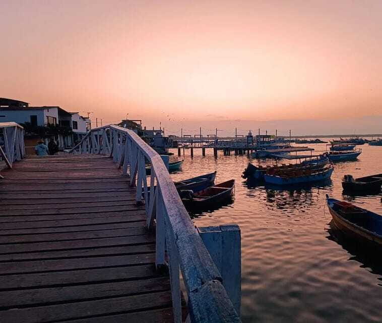 Mancora: Puerto Pizarro - Tour Mangrove Mysteries - Traveler Insights