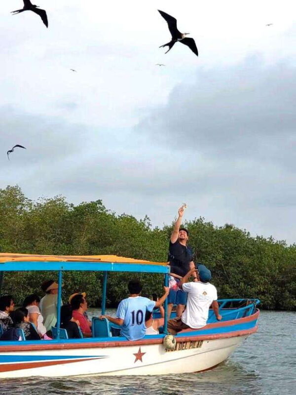Mancora: Puerto Pizarro - Tour Mangrove Mysteries - What Travelers Are Saying