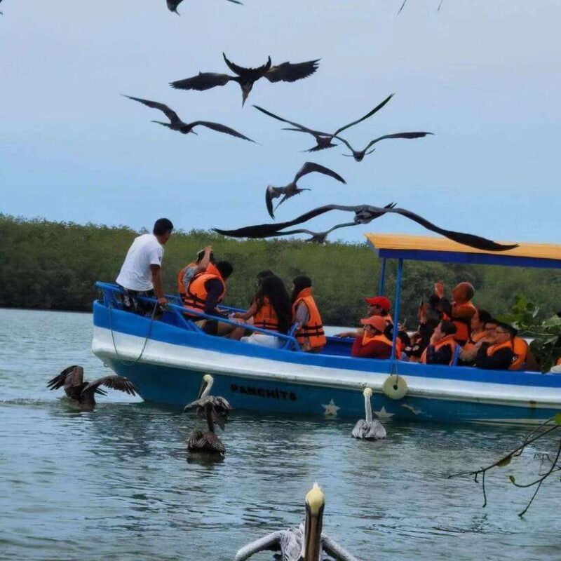 Mancora: Puerto Pizarro - Tour Mangrove Mysteries - Practical Tips for Travelers