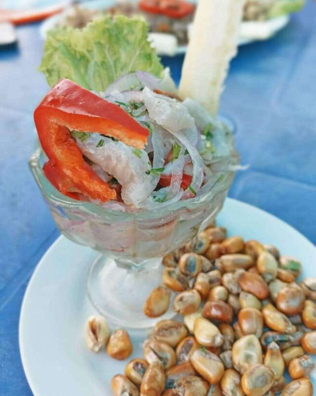 Mancora: Puerto Pizarro - Tour Mangrove Mysteries - Who Is This Tour Best For?