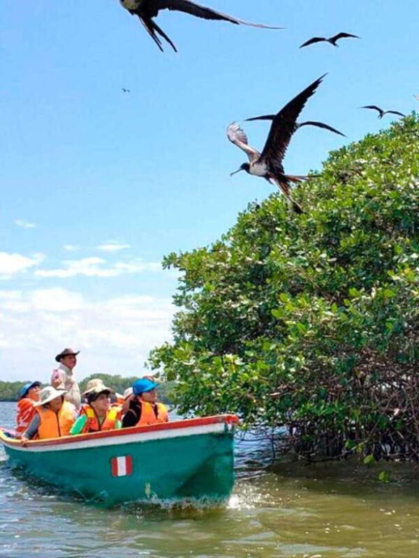 Mancora: Puerto Pizarro - Tour Mangrove Mysteries - FAQ