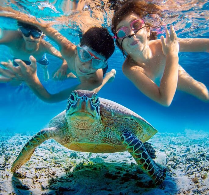 Mancora: Swimming and bathing with turtles | Entrance | - FAQ
