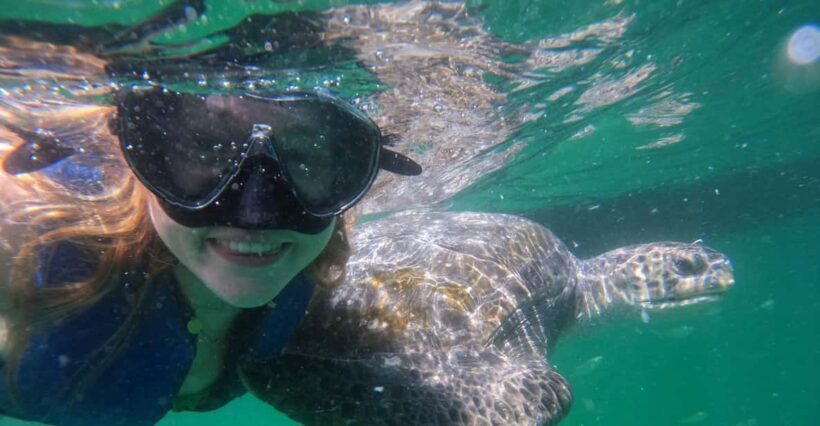 Mancora: Swimming and bathing with turtles | Entrance | - Practical Details and Tips for Travelers