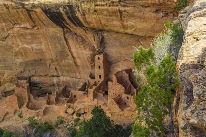Mancos: Mesa Verde National Park Half-Day Tour - An In-Depth Look at the Experience
