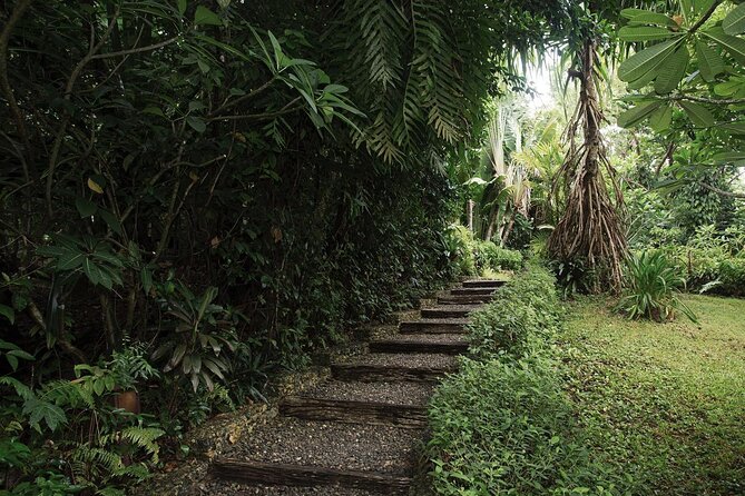 Mandala Wellness Spa in Boracay - Who Is This Tour Best For?