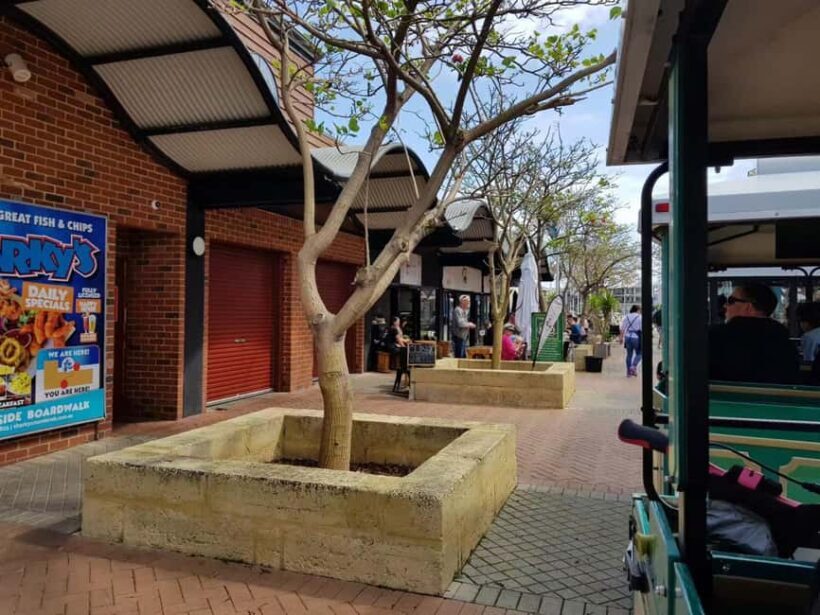 Mandurah: Big Toot 30 mins scenic tour - Authentic Experiences & Genuine Feedback