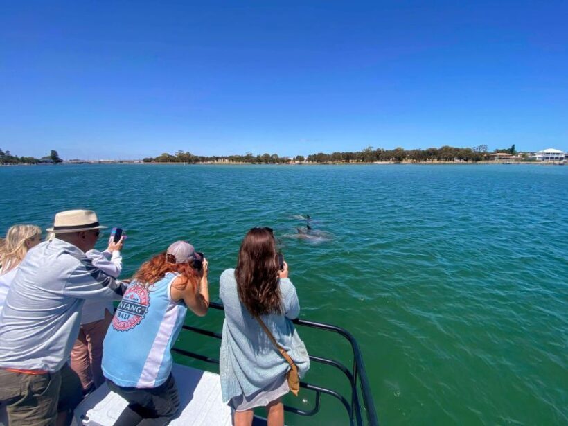 Mandurah: Sightseeing Dolphin Cruise with Tour Guide - Exploring the Dock and Estuarine Areas