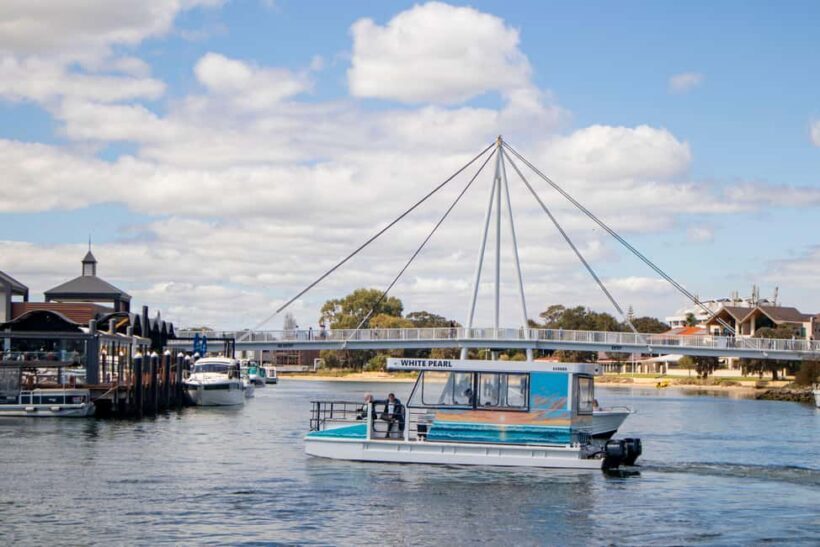 Mandurah: Sightseeing Dolphin Cruise with Tour Guide - Authenticity and Value