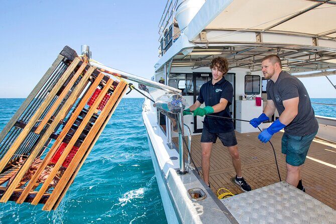 Mandurah Wild Seafood Experience - Key Points