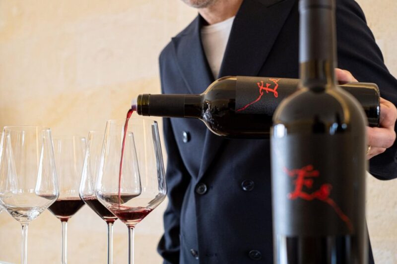 Manduria: Wine Tasting & Finger Food - Key Points