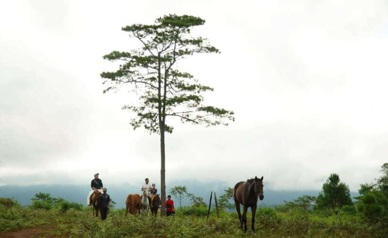 Mang Den: Horse Riding Tour with Drinks & Pickup - The Practical Side of Things