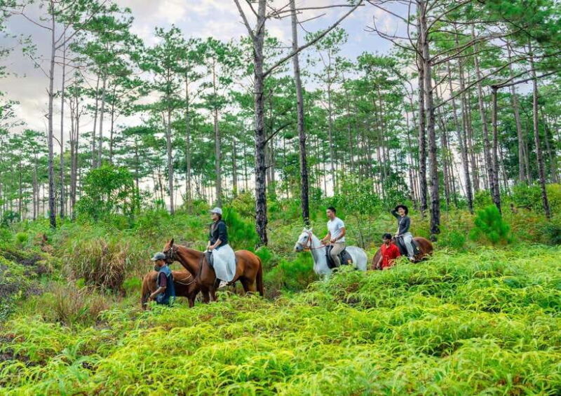 Mang Den: Horse Riding Tour with Drinks & Pickup - Who Will Love This?