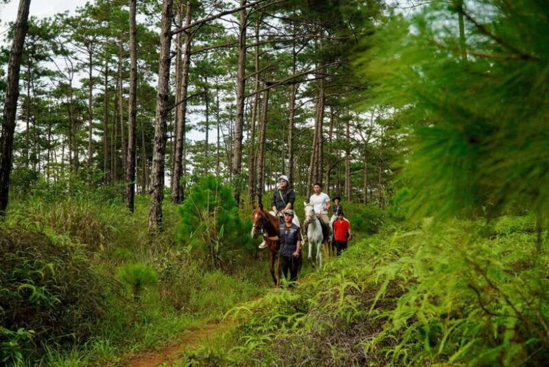 Mang Den: Horse Riding Tour with Drinks & Pickup - The Sum Up