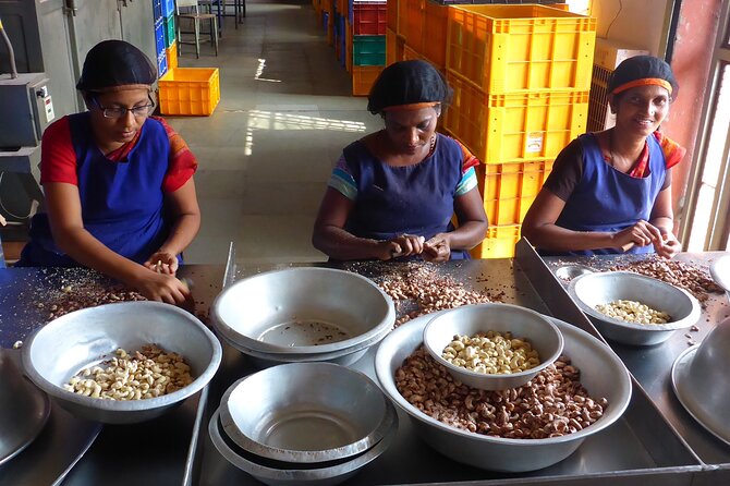 Mangaluru Shore Excursion - Full Day Private Mangaluru Guided City Tour - Practical Details: What You Need to Know