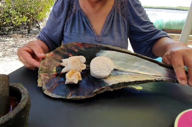 Mangrove Adventure with Snorkeling and Shellfish Tasting - A Deeper Look at the Tour Experience