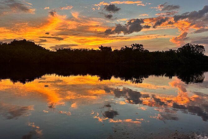 Mangrove and Gulf Excursion Tour - Introduction