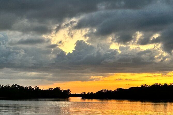 Mangrove and Gulf Excursion Tour - Practical Details