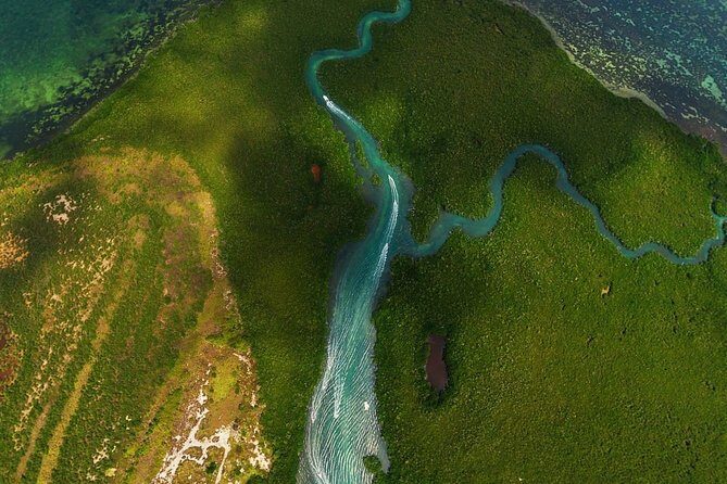 Mangrove and Lagoon Speed Boat Tour - An In-Depth Look at the Tour