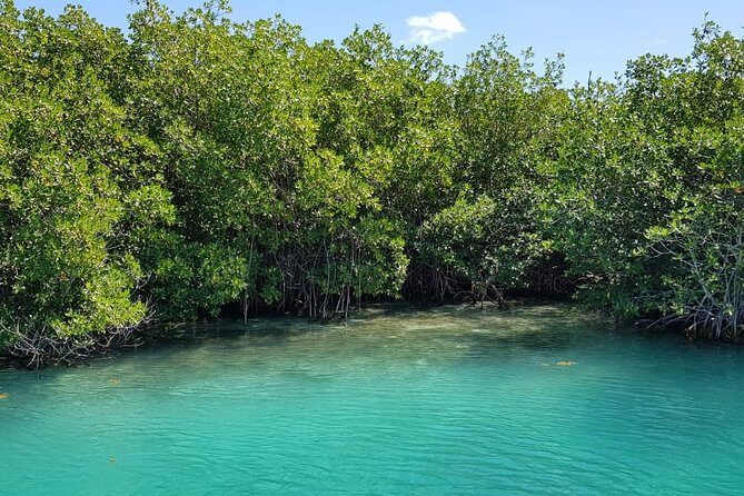Mangrove and Lagoon Speed Boat Tour - FAQs