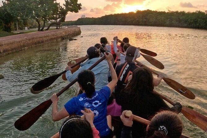 Mangrove Canoe Route at Sunset between Sacred Ecosystems - Exploring Cancun’s Secret Natural Gem: Nichupté Lagoon