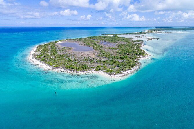 Mangrove Cay and Iguana Island Tours - Key Points