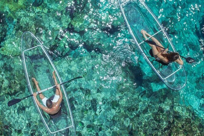 Mangrove Cay Tour - Exploring the Mangrove Cay Tour: A Natural Adventure in Providenciales