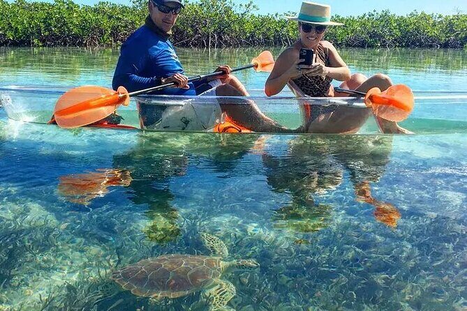 Mangrove Cay Tour - Who Will Enjoy This Tour?