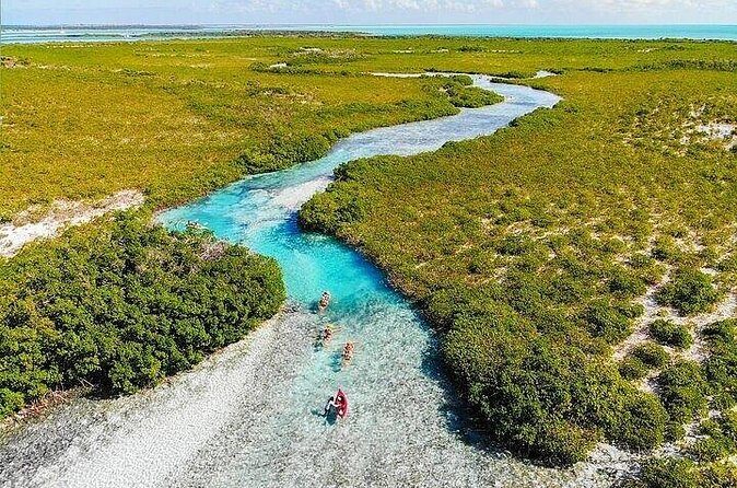 Mangrove Cay Tour - The Sum Up