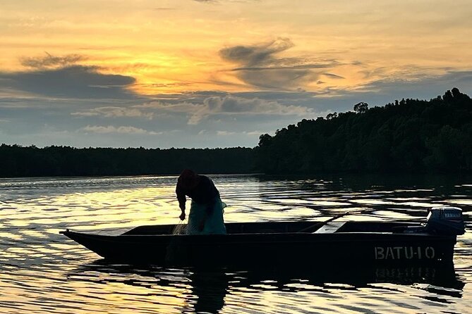 Mangrove Cruise with Fireflies Tour Including Dinner from Sandakan - An Overview of What to Expect