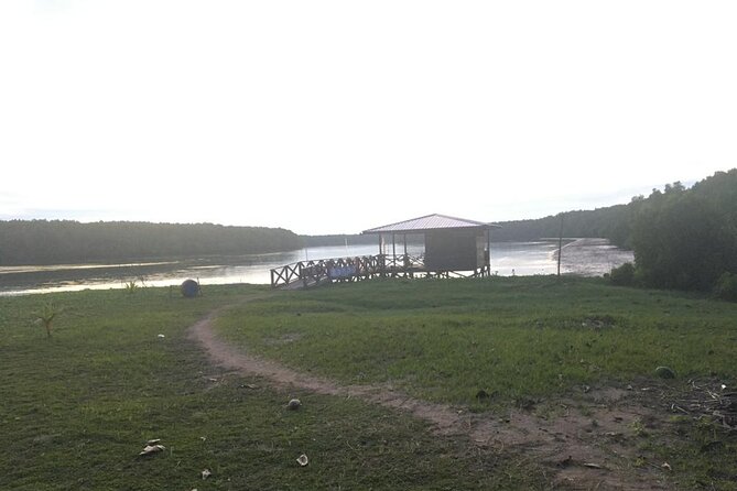 Mangrove Cruise with Fireflies Tour Including Dinner from Sandakan - Authentic Experiences and Unique Moments