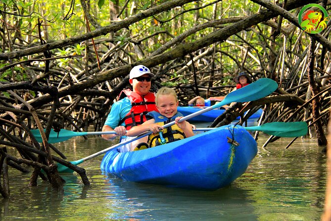 Mangrove Damas Island Kayak Tours - Accessibility and Requirements