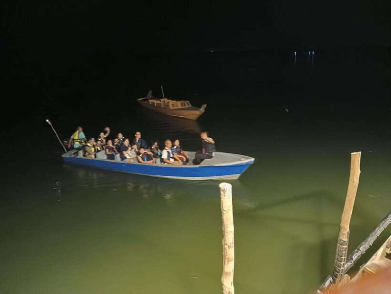 Mangrove discovery tour or fireflies tour - The Sum Up