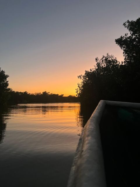 Mangrove ecotour and fishing in Cartagena's natural mangrove - A Closer Look at the Mangrove Ecotour and Fishing Experience