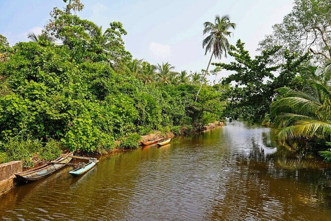 Mangrove Forest Boat Tour in Kalpitiya - The Value of Guided Naturalist Support
