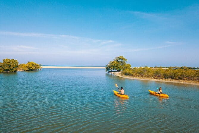 Mangrove Forest Boat Tour in Kalpitiya - Logistics and Practical Details