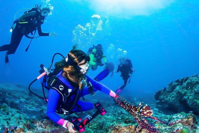 Mangrove Forest Boat Tour in Kalpitiya - What Previous Travelers Say