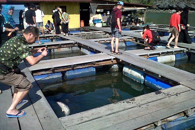 Mangrove Forest Tour In Langkawi - FAQs