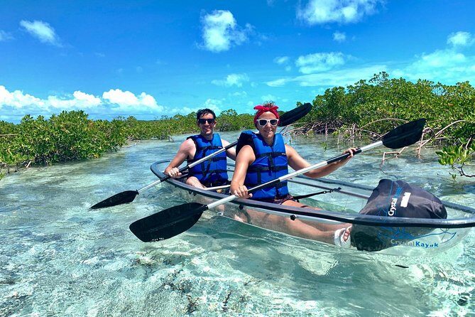 Mangrove & Iguana Clear Kayak Tour - What to Expect From the Tour