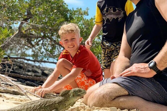 Mangrove & iguana Tour - The Details: Price and Value