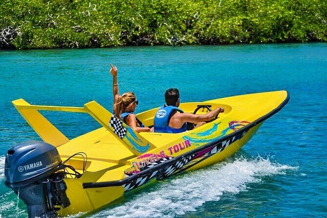 Mangrove Jungle Speedboat Experience - An In-Depth Look at the Mangrove Jungle Speedboat Experience