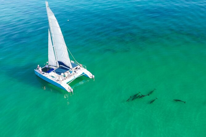 Mangrove Kayak + Snorkel & Sunset Sail Hosted by Honest Eco - Key Points