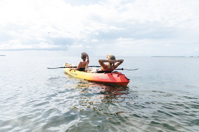 Mangrove Kayak + Snorkel & Sunset Sail Hosted by Honest Eco - Exploring the Mangrove Tunnels