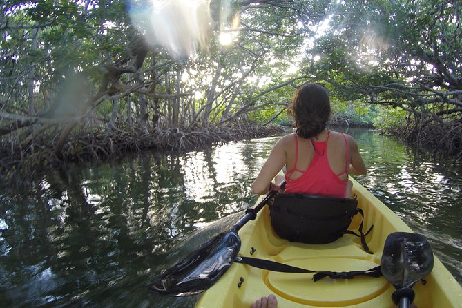 Mangrove Kayak + Snorkel & Sunset Sail Hosted by Honest Eco - Convenience and Accessibility
